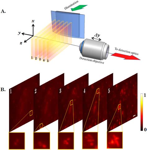 Demonstration Of Multi Plane Imaging Capability A Schematic Download Scientific Diagram