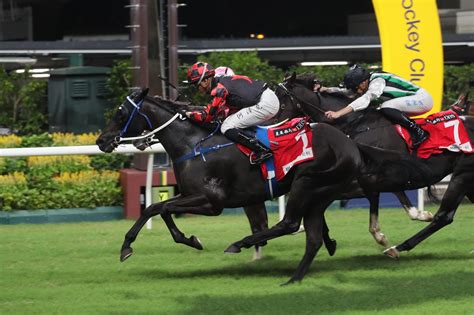 Dancing Code Looking To Transfer Happy Valley Form To Sha Tin
