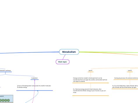 Metabolism Mind Map