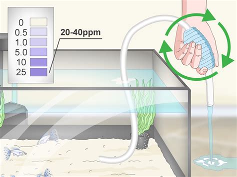How to Test the Water in an Aquarium: 13 Steps (with Pictures)