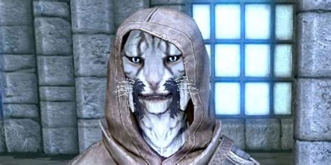 Skyrim The 5 Best Companions Ranked