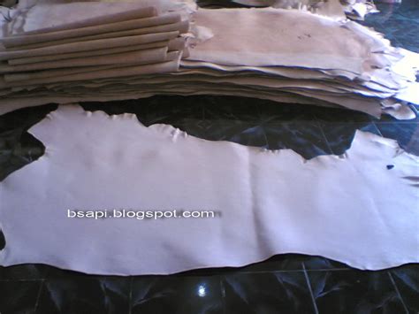 Bsapi Jual Kulit Sapi Samak Nabati Natural