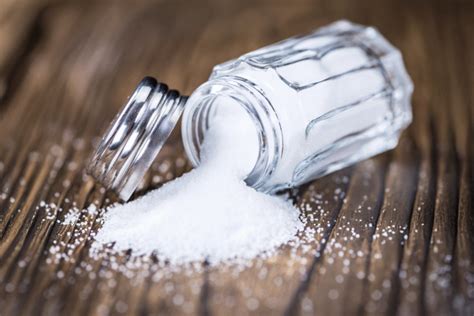 Does Salt Kill Termites Debunking Pest Control Myths Bug Domain