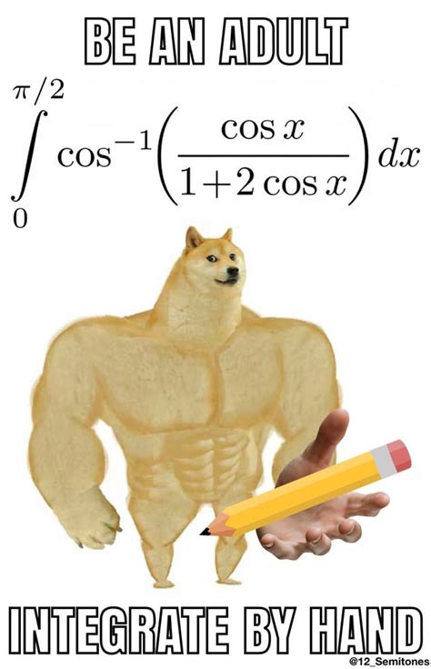 Numerical Integration Is For The Weak Rintegrationtechniques