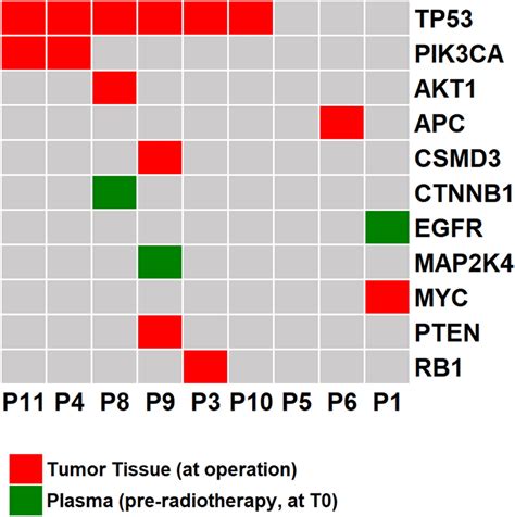 Mutation Profiles In Surgically Resected Tumor And Plasma Ctdna