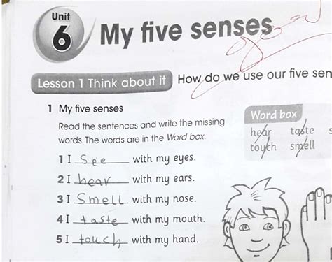 حل كتاب النشاط انجليزي الوحدة السادسة صف ثاني فصل ثاني سراج