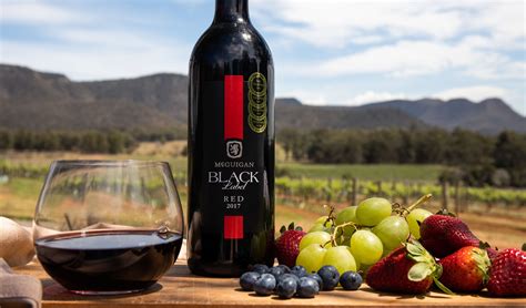 McGuigan Launches Personalised Wine Label Augmented Reality App