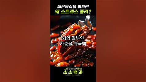 매운 음식 진짜 스트레스가 풀리는 건가 Youtube