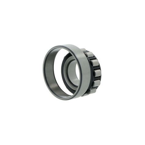 Cuscinetto A Rulli Cilindrici N218 ETVP2 INT 90mm Ext 160 Mm Largo