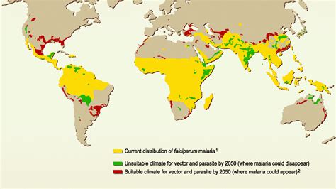Malaria Map