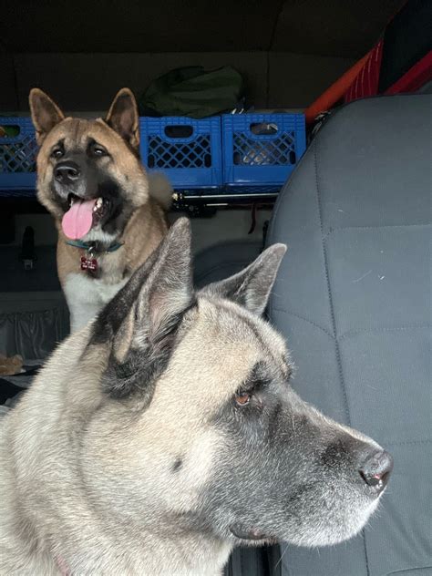 Abby Berthold M Ed On Linkedin Freedom Education