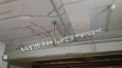 양재주차빌딩 한양시스템 위너기술 초기형 큰소리 방문결과 Youtube