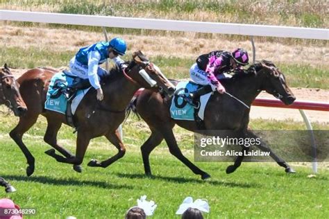 Daniel Laidlaw Photos And Premium High Res Pictures Getty Images