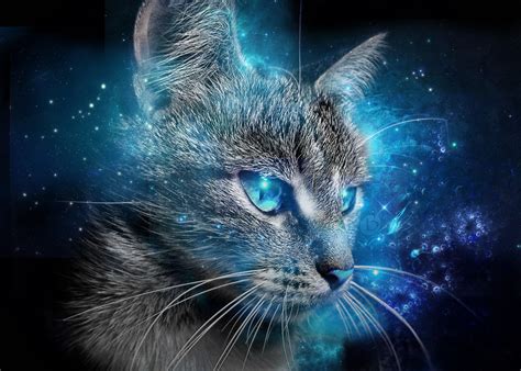 Коты 3d Картинки – Telegraph