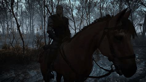 I Tried Making Geralt Look How I Imagined Him In Baptism Of Fire