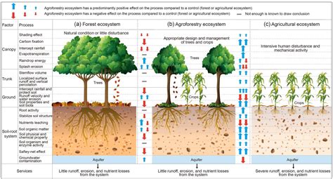 734 Agroforestry Wef Nexus Online Course