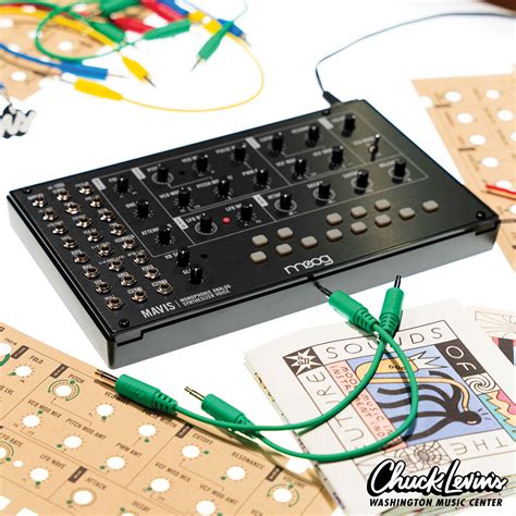 Moog Werkstat 01 Analogue Semi Modular Synth With Cv Expander Kit Artofit