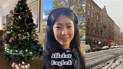 Eng Vlog 🎄 올해 하반기 일상의 조각들zip 고양이들과 보내는 일상🐯 눈 오는 스톡홀름 ☃️ 스톡홀름