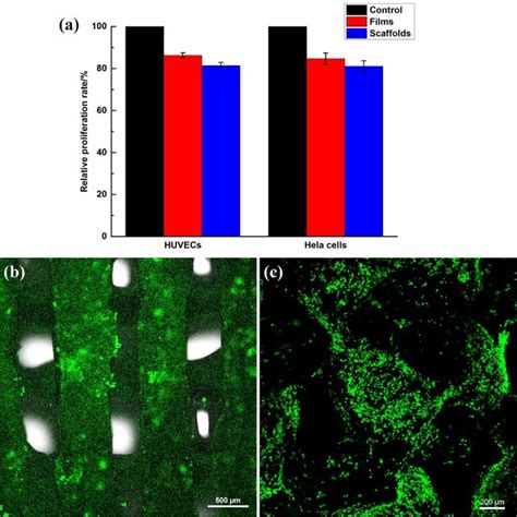 Results Of Biocompatibility Test A The Relative Proliferation Rate