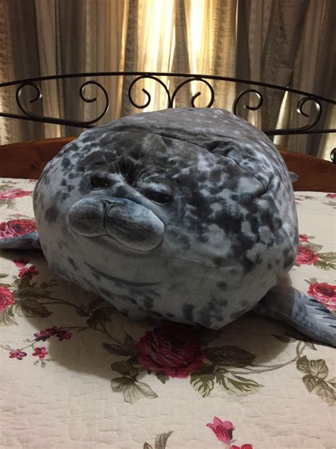 My Giant Seal Plushie Finally Arrived Seals