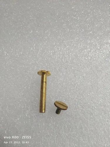 Round Polished Brass Binding Screws For Commercial Size X Mm At Piece In Indore