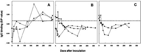 Specific Detection Of M Avium Subsp Paratuberculosis Infections By Download Scientific
