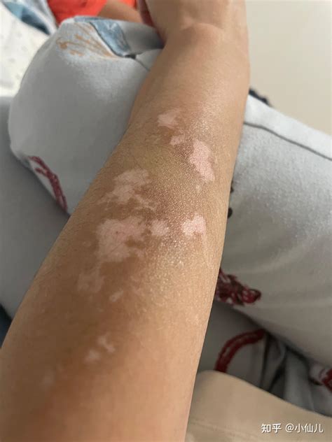 你似乎来到了没有知识存在的荒原 知乎