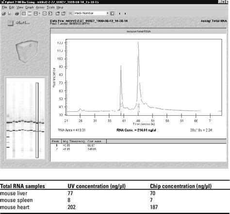 Figure 3 From Analysis Of Total Rna Using The Agilent 2100 Bioanalyzer