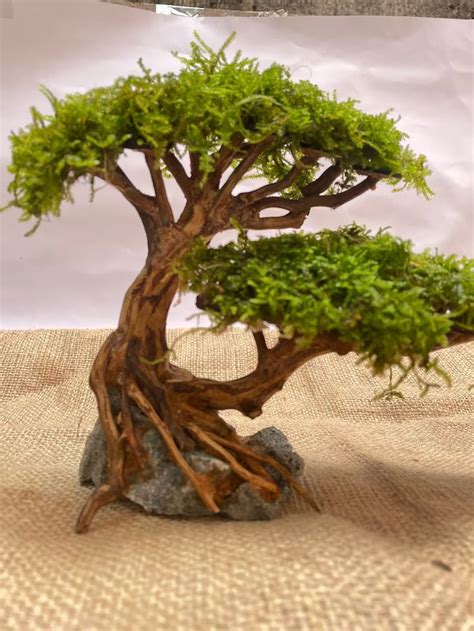 Driftwood Bonsai Tree Aquarium Java Moss Drift Wood Bonsai Terrarium
