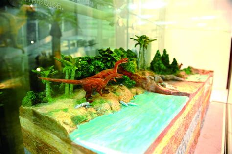 化石厅 展陈介绍 中国地质博物馆烟台馆 烟台自然博物馆