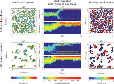 Comparison Of Initial Spatial Structure Evolutionary Dynamics Of