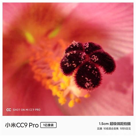 不止电池！cc9 Pro搭载15cm超级微距镜头，堪称显微镜百科ta说