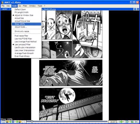 Manga Reader Program Manga Reader Is An Application To Help You Read Your Personal Stored