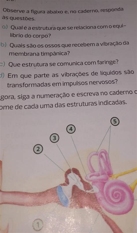 Observe A Imagem Abaixo E Responda Retoedu