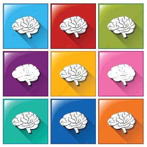 Buttons With Brain Interface Parts Sensorimotor Vector Interface