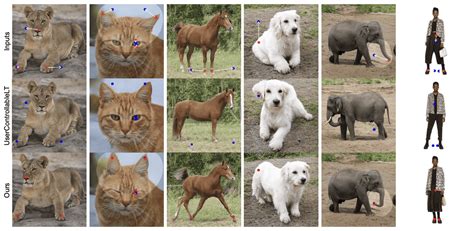 Draggan Transforming Image Manipulation With Interactive Point Based
