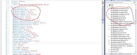 Asp Net Package Updated To Angular Latest Version But Npm Not