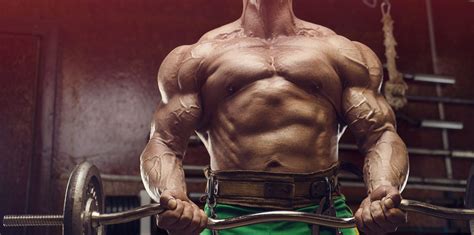 Dorian Yates Workout Routine 2025 Baller Circuit