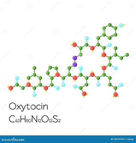 Oxytocin Stock Illustrations 110 Oxytocin Stock Illustrations