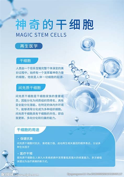 干细胞 花瓣网