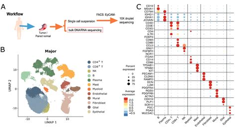 Genome Biology 张泽民 步召德 申占龙团队精细解析胃癌肿瘤微环境中的关键特征 胃癌 肿瘤 细胞 癌症 健康界