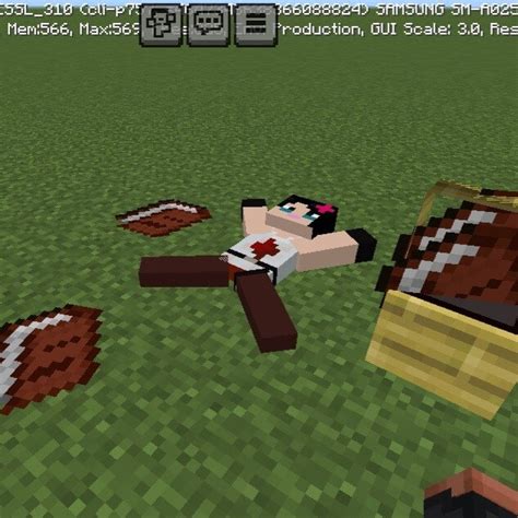 Dead Bodies Minecraft Addon