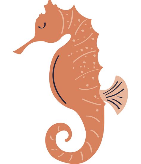 Seahorse Sealife Animal 24089840 Png