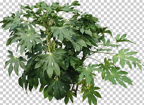 Tree Computer Icons Plant PNG Clipart Branch Bushes Clip Art Computer Graphics Computer
