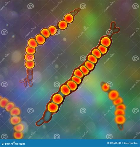 Trichophyton Verrucosum Fungi 3d Illustration