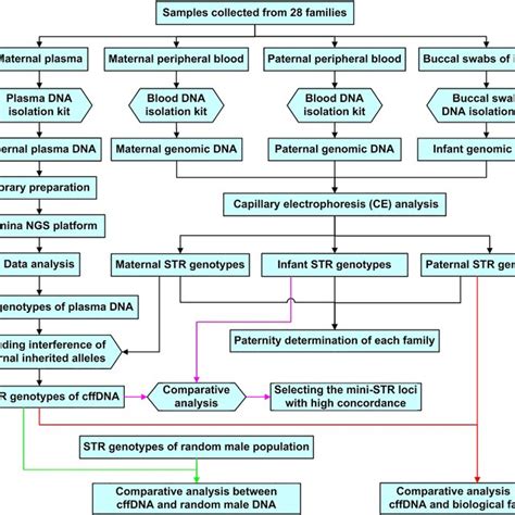 Schematic Representation Of Library Preparation And Ngs Sequencing