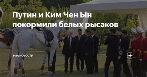 Путин и Ким Чен Ын покормили белых рысаков РИА Новости Дзен