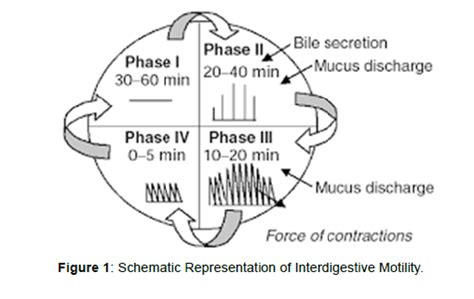 International Journal Of Research And Development In Pharmacy And Life
