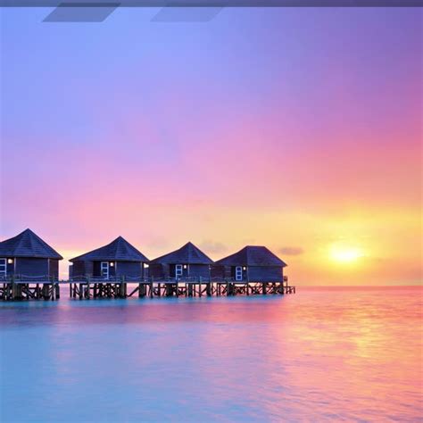 Chris Storey Posted On Linkedin