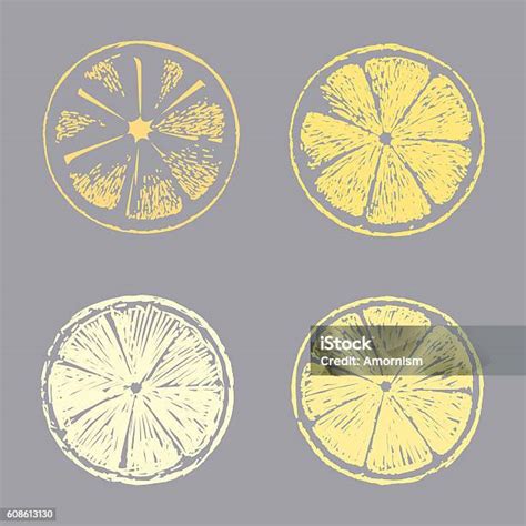 Abstract Lemon Slice Sketch Hand Drawn Stock Illustration Download